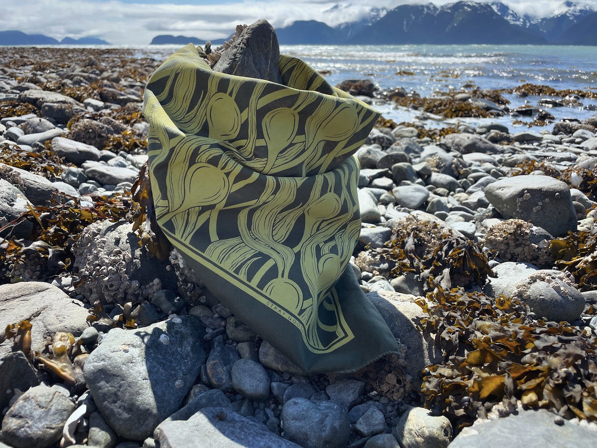 Bulb Kelp Bandanna | Stray Goose Studio